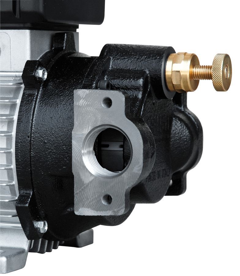 PIUSI VISCOMAT 70 M POMPA A PALETTE PER OLIO | LP Shop